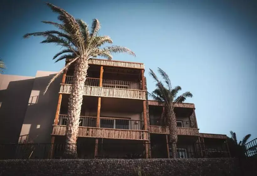 Hôtel Ananea Hurghada - Adults Only - Hurghada