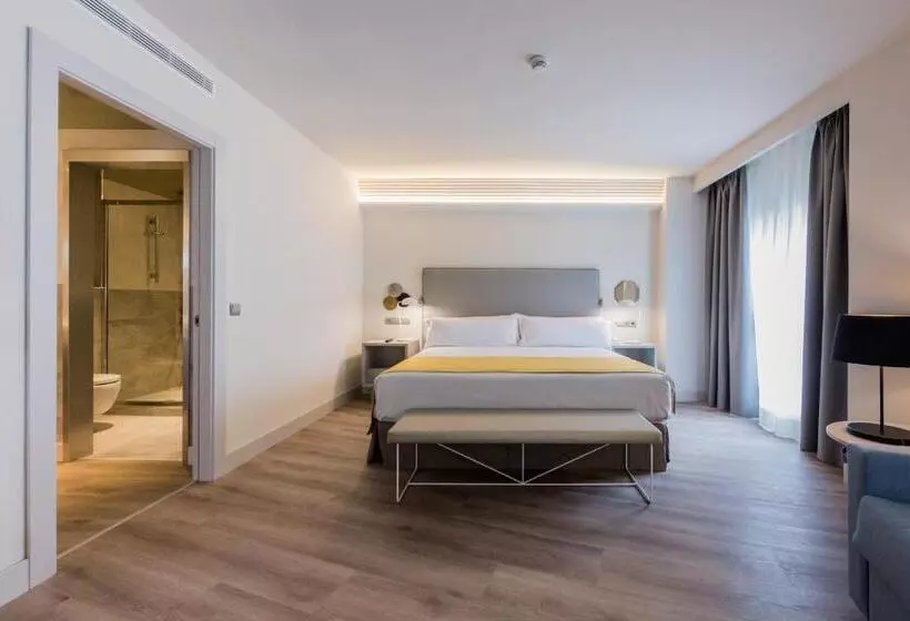 Hôtel Catalonia Granada - Granada