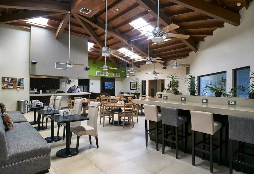 Holiday Inn Hotel & Suites Chihuahua, An Ihg - Chihuahua