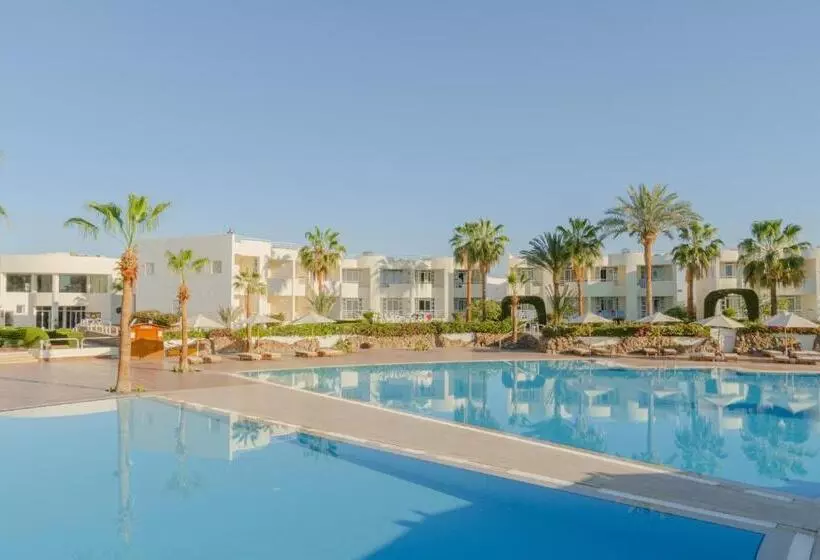 Hôtel Sharm Reef - Égypte