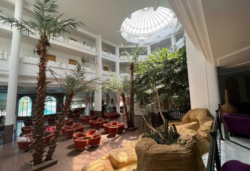 Hôtel Hammamet Garden Resort - Hammamet