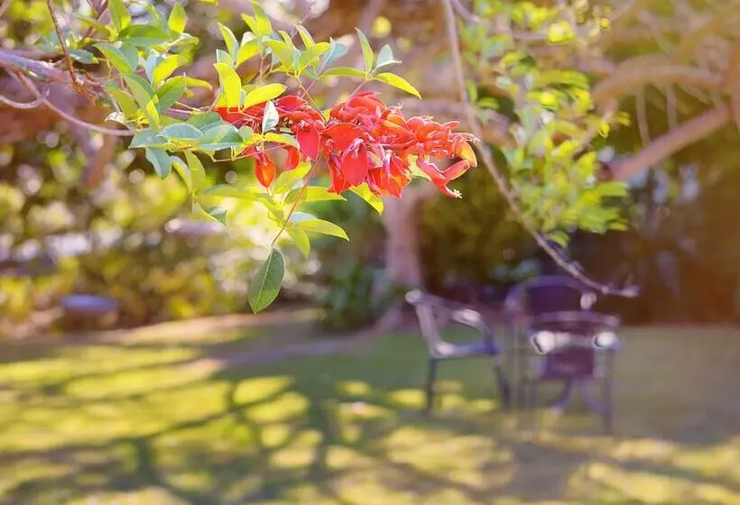 Hôtel Comfort Inn Premier - Coffs Harbour