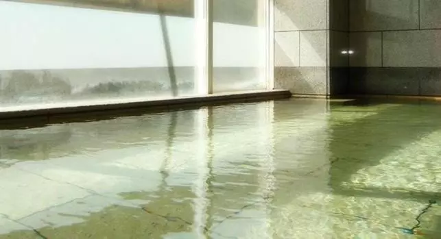 Ryokan Hananoyado Fukuju - Japan