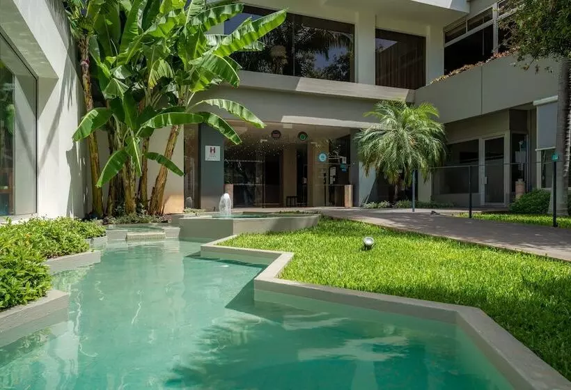 Hôtel Girassol  Suite - Funchal