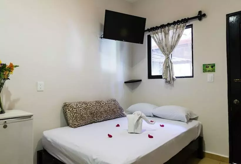Hotel Moonshine - Playa del Carmen