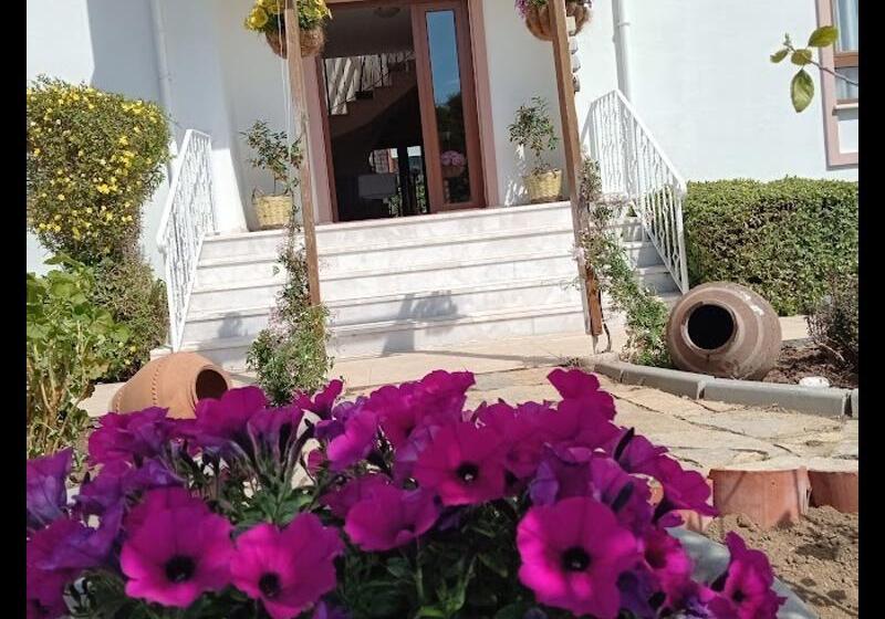 Pension (Hôtel Basse Catégorie) Alibeyhan Otel - Ayvalık