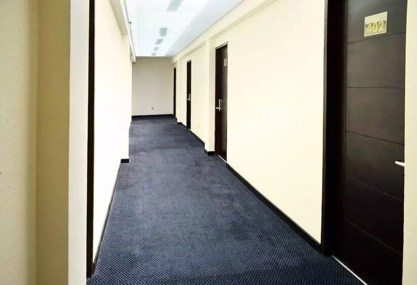 Delfines Apart - La Paz (Bolívia)