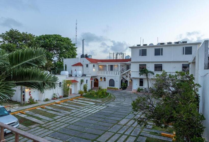 Hôtel Soy Local Cancun - Cancún