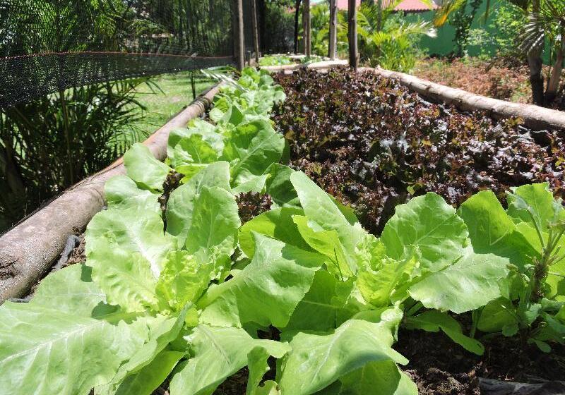 Hotel Castelo Da Ilha - Florianópolis