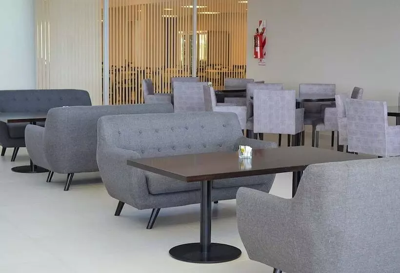 Hotel Oscar Lescano   All Inclusive - Mar del Plata