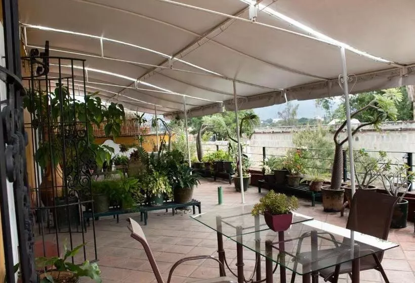 Hôtel Boutique Casa Catrina - Oaxaca