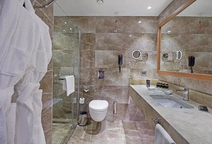 Hôtel Dedeman Kayseri - Kayseri