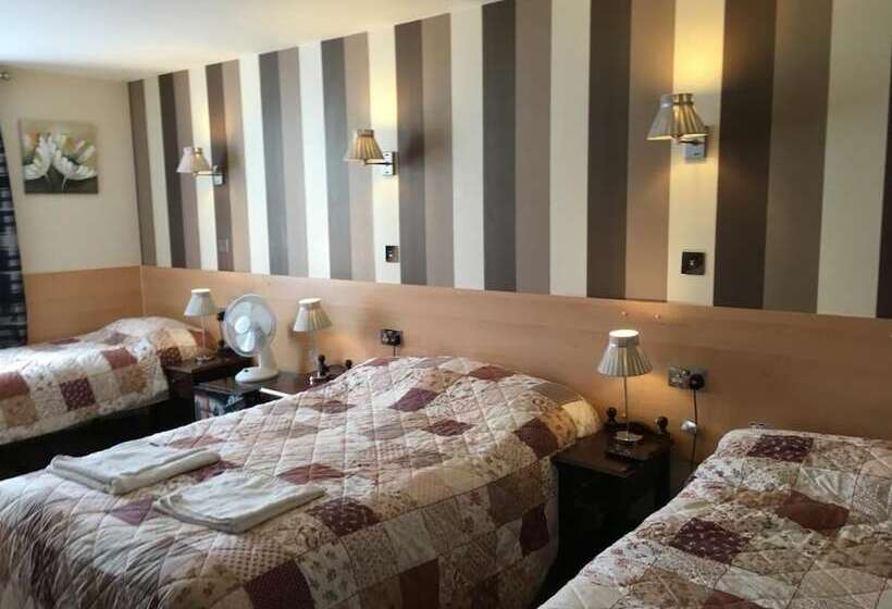 Hôtel (Catégorie 1/2 *) St George - London