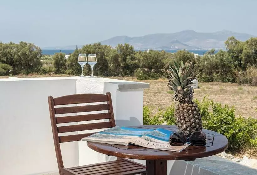 Naxian Serenity Suites - Naxos