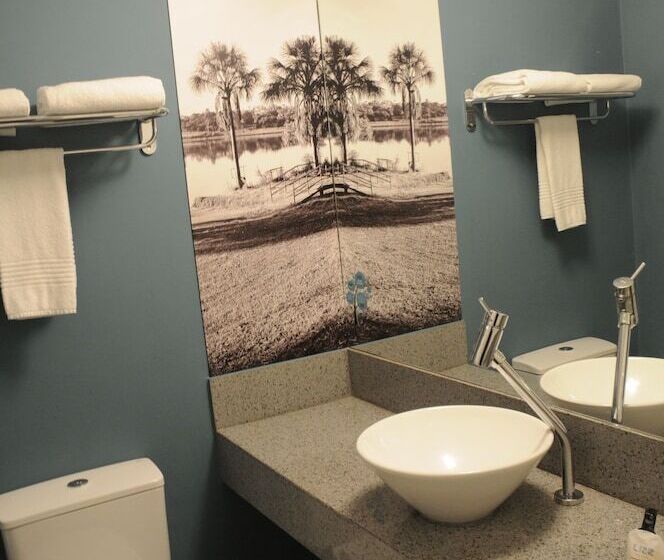 Hotel Golden Tower Aeroporto   Lizz   By Fênix Hotéis - Uberlândia