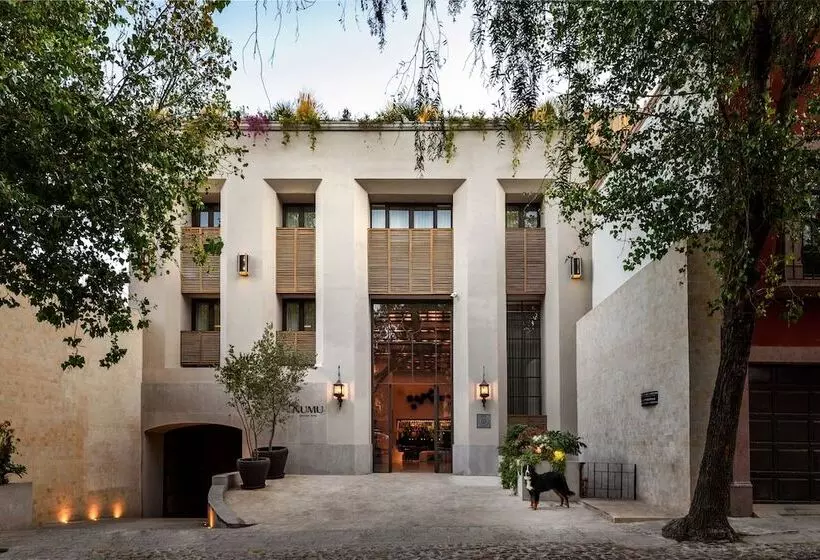 Resort Numu Boutique Hotel, The Unbound Collection By Hyatt - San Miguel de Allende