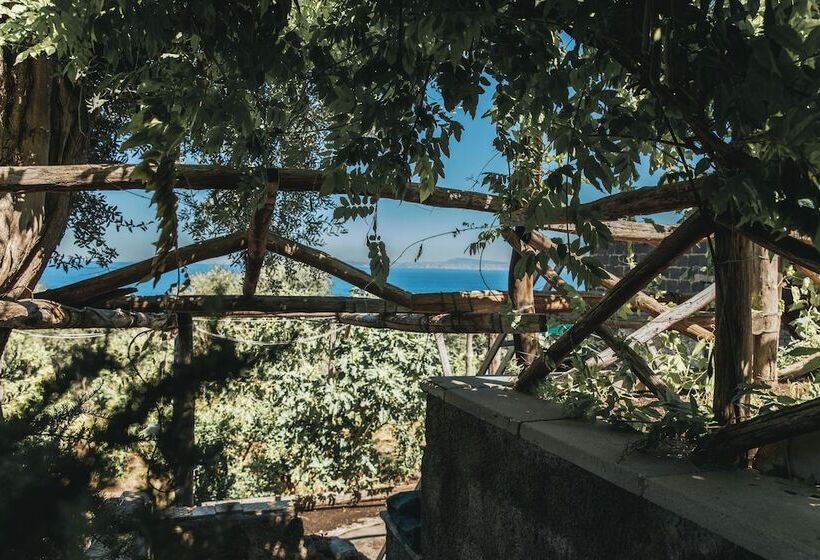 Bed And Breakfast Villa Puolo   Sorrento - Sorrent