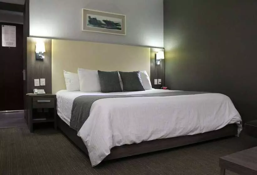 Hotel Casa Inn Galerias Celaya - Celaya