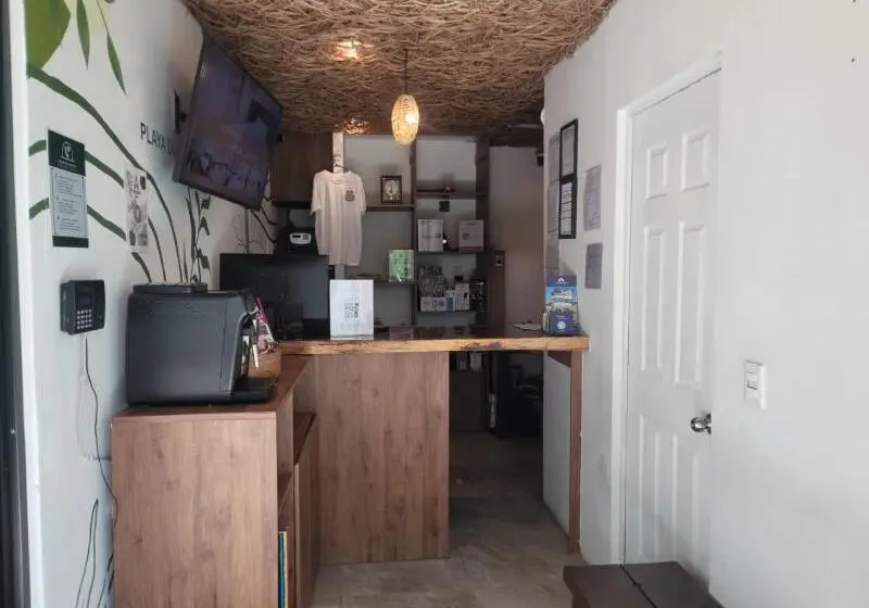 Hotel Coco Live Suites - Playa del Carmen