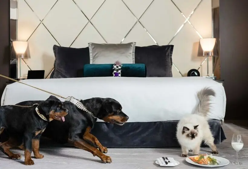 Paradox Hotel Vancouver - Vancouver